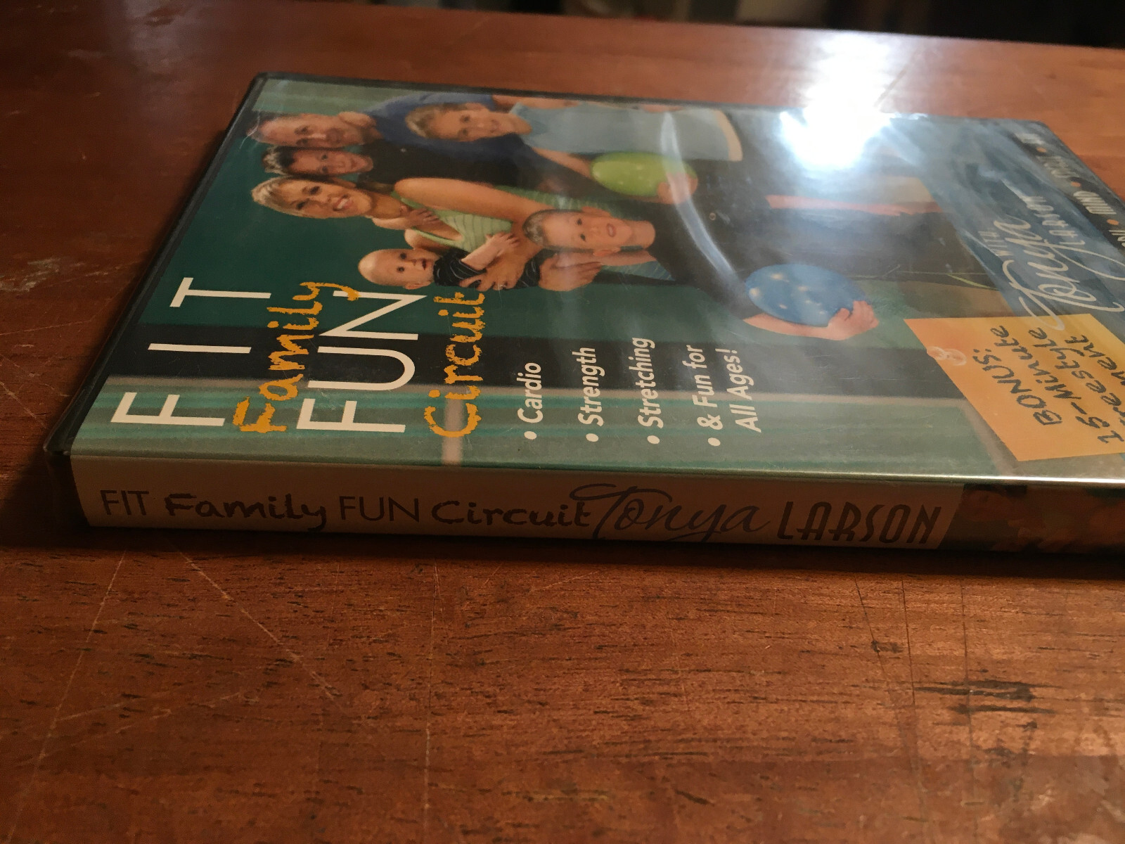 Tonya Larson: Fit Family Fun Circuit (DVD, 2012) for sale online | eBay