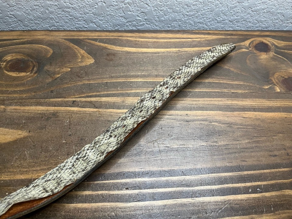 Vintage Genuine Rattlesnake Snakeskin Snake Skin Leather Belt 45” Long ...