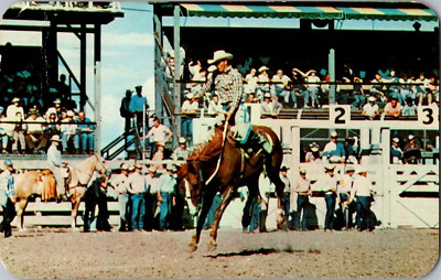 Postcard Rodeo Cowboy Riding Bucking Broncho Chrome Postmarked 1960 | eBay