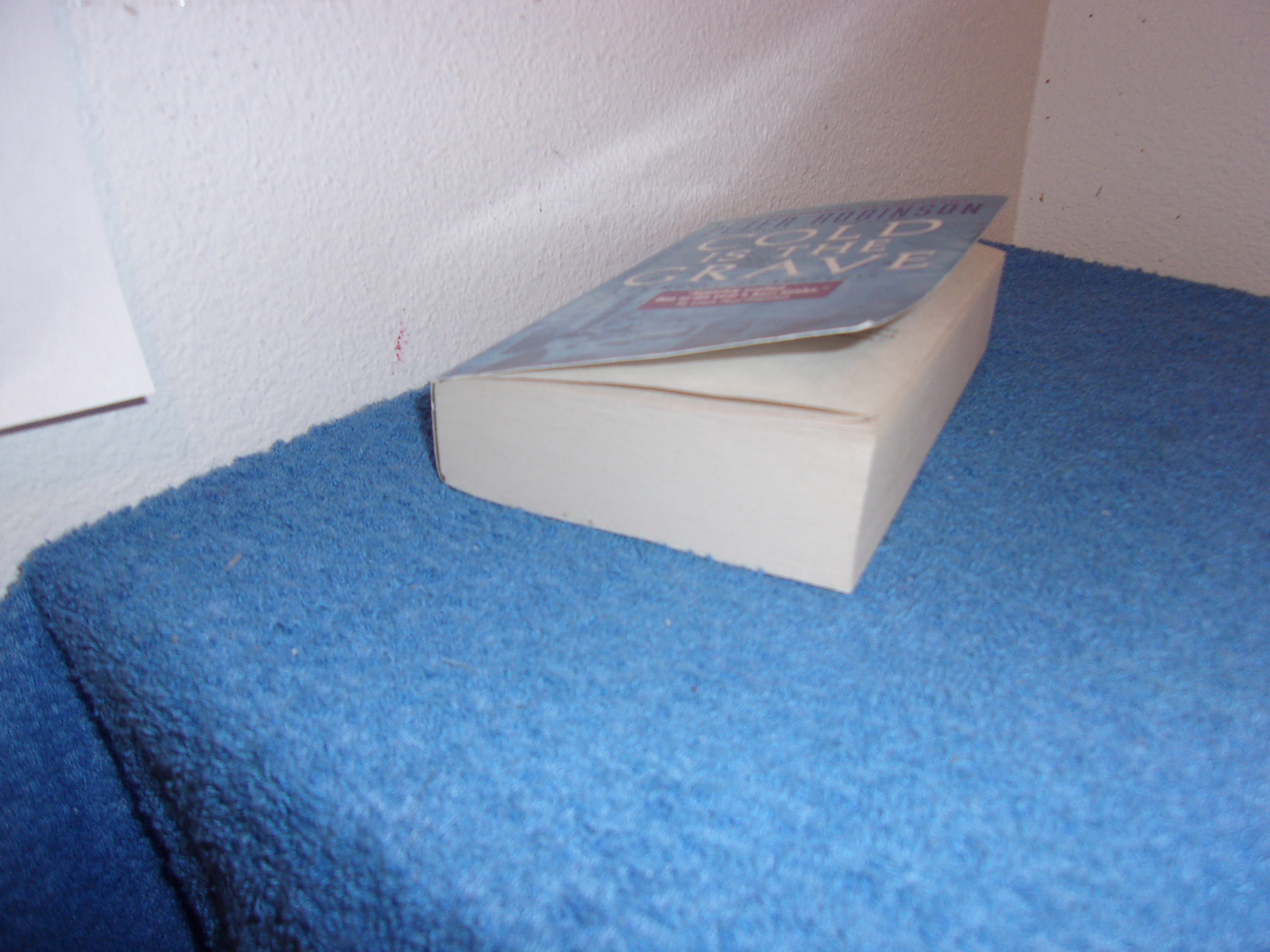 Cold Is the Grave : A Novel of Suspense by Peter Robinson (2001, Mass ...