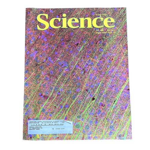 AAAS Science Magazine u Vol 288 No 5472 June 9 2000 Microscopic Mouse ...