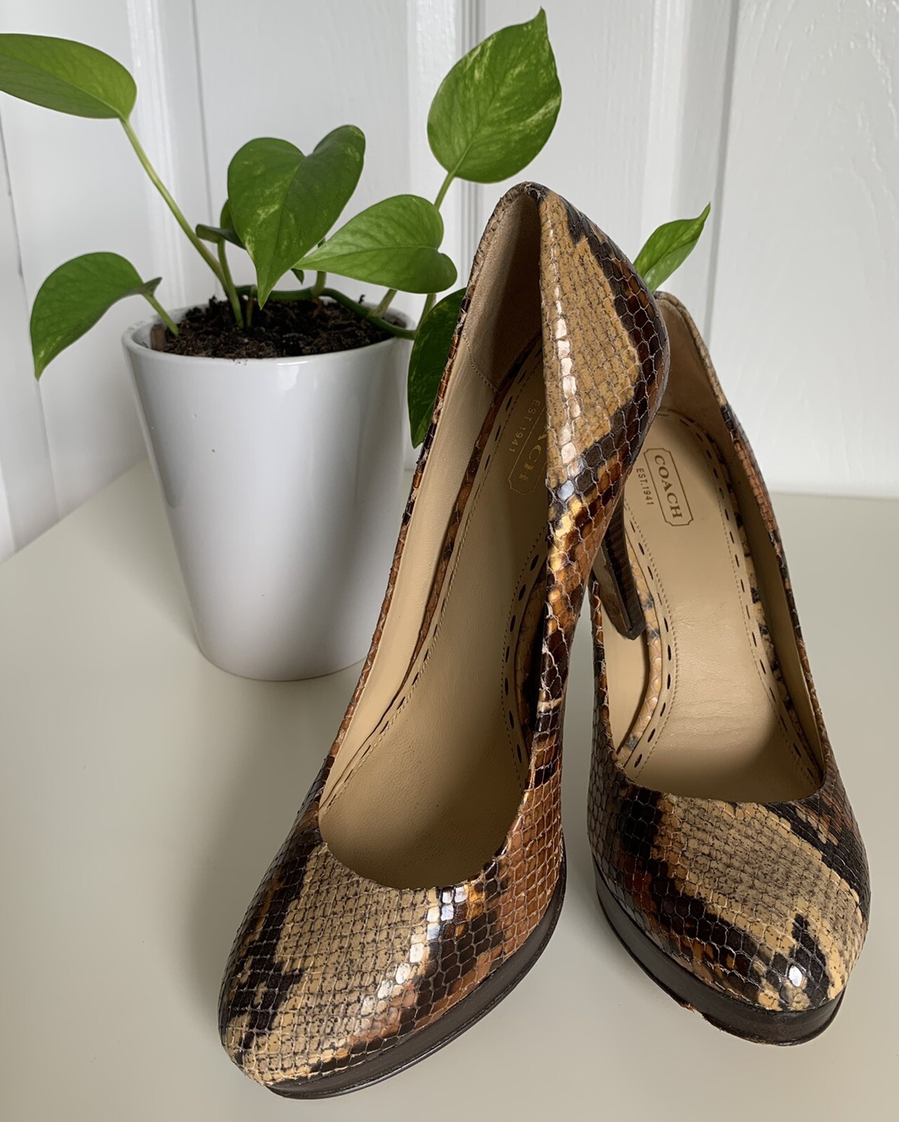 Coach Buffy High Heels Pumps Brown Snake Skin/PyThon… - Gem