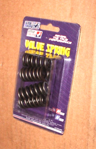 UMA Racing Valve Springs (R1/R3 Cams)-Yamaha Y15ZR/Jupiter MX King ...