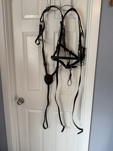 Beta Biothane Halter Bridle Pony Size With Breast Collar | eBay