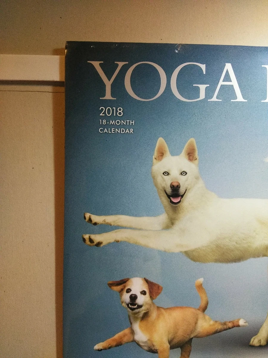 Yoga Dogs Poster