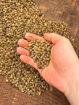 Green Coffee Beans – Single-Origin Vietnam – Robusta – Unroasted – 2 lb ...