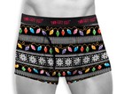 Ugly Christmas Lights Boxer Briefs Trunks Underwear Undies Funny 1 Pair ...