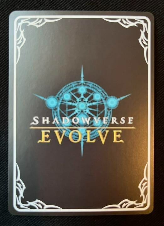 Shadowverse Evolve BP01-U04 UR Dark Dragoon Forte | eBay