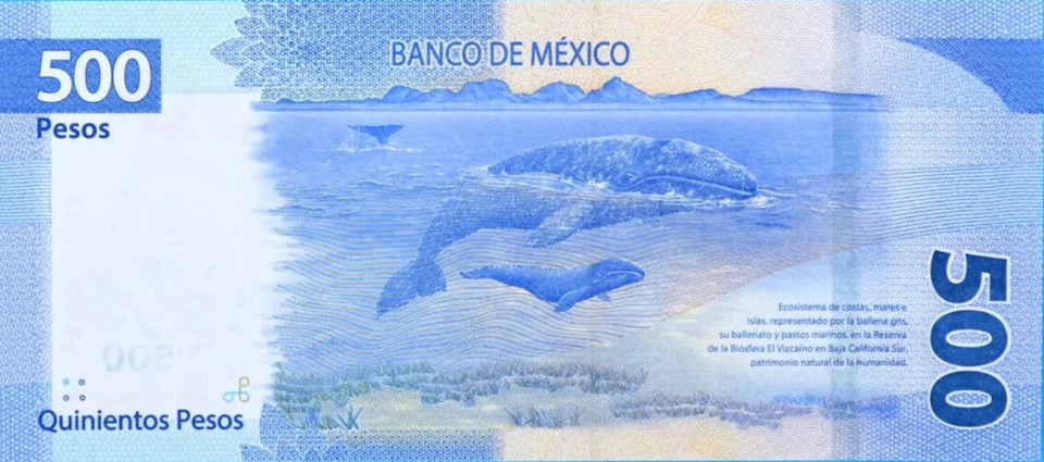 Single 2022 Mexico 500 Pesos Banknote. 500 Pesos Uncirculated bill note ...