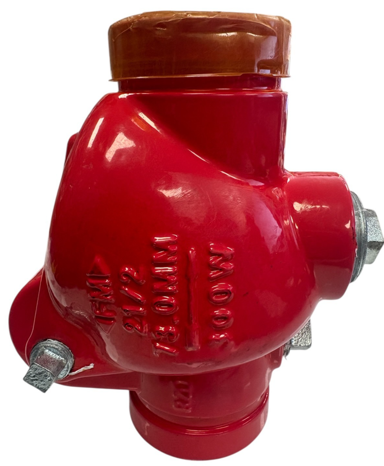 Argco FIRE PROTECTION GROOVED CHECK VALVE DUCTILE IRON RED | eBay