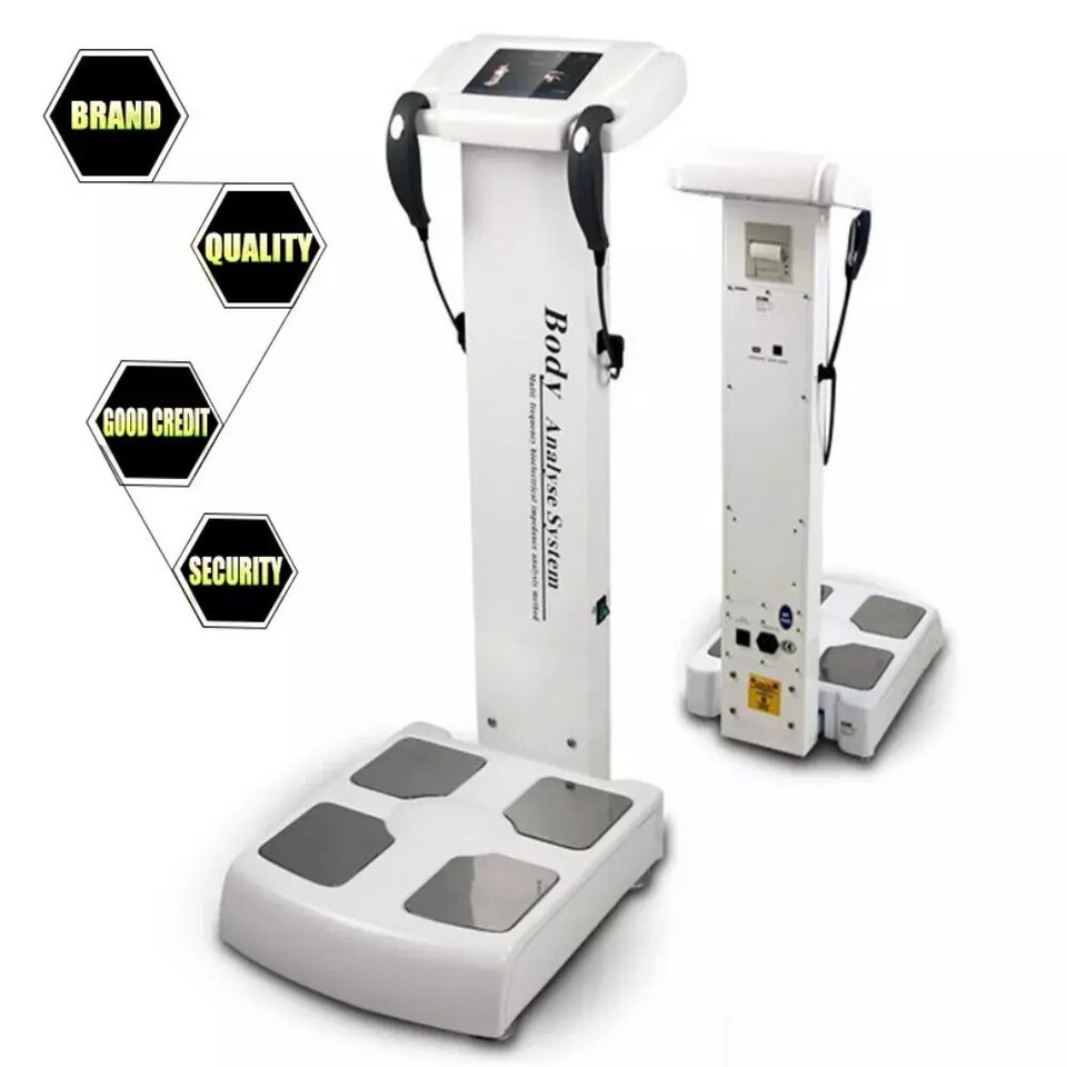 inBody analyzer machine Fixed Digital Bmi Full Body Composition Scan ...