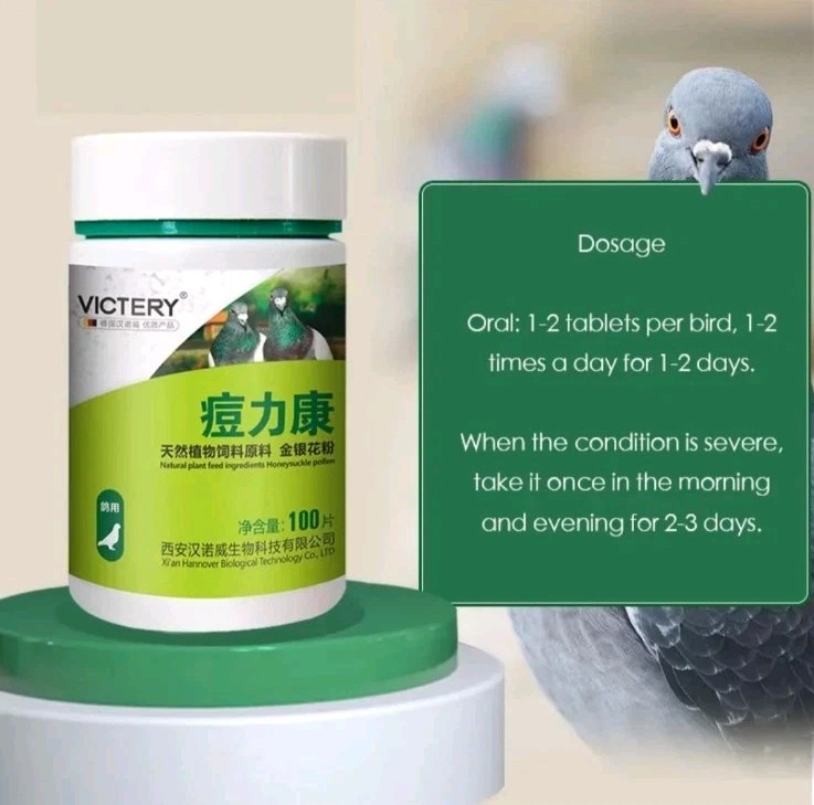 Racing Pigeon Pox Scabs viral Virus Vaccine disease Pigeons | eBay UK