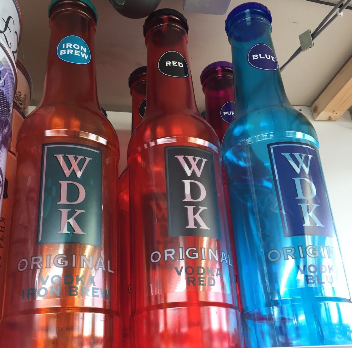 New WDK Blue Money Coin Cash Saving Bottle Bank 60cm 2ft | eBay UK