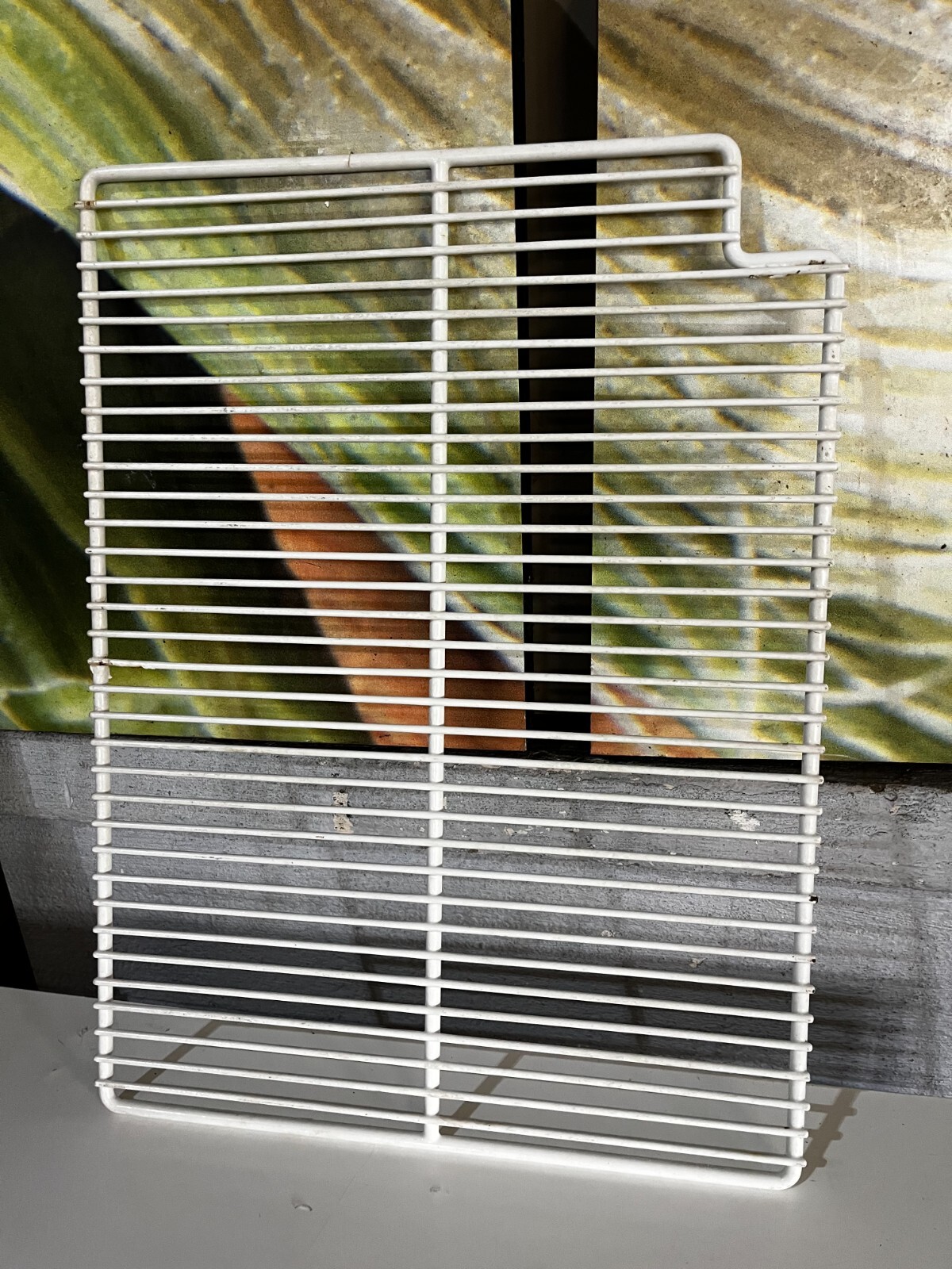 White Epoxy Refrigerator Or Freezer Shelf 21 1/2 IN x 16 1/8 IN w/ 2 IN ...