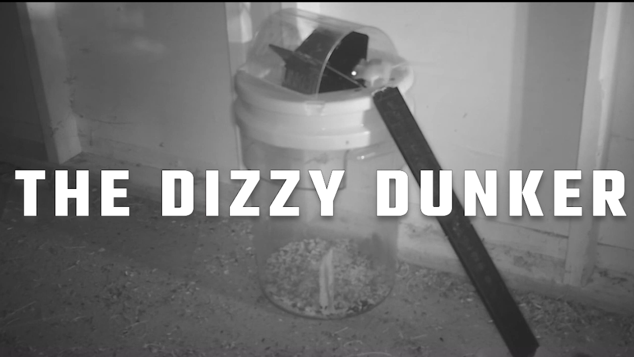 RinneTraps | 2 Pack | Dizzy Dunker Bucket Lid Mouse Trap |As Seen on TV ...