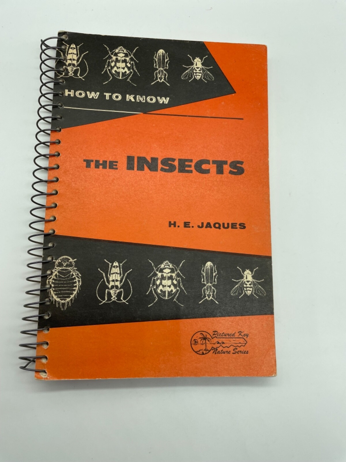 HOW TO KNOW THE INSECTS by H.E. Jacques 1947 PICTURED KEY NATURE SERIES ...