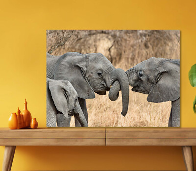 Cute Elephants Holding Trunks 5mm thick Plastic Poster Ready to Hang ...