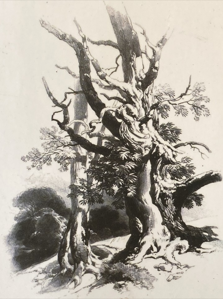 Pennelli Drawing Sketching Pencil Set 12 Pieces Art Drawing Graphite ...