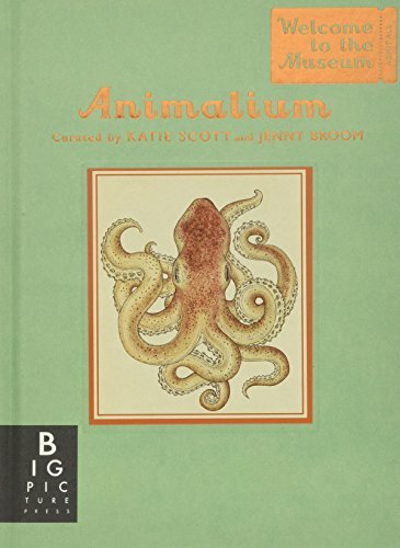 Animalium (Welcome to the Museum), Broom, Scott 9781783706112 Free Shipping.. 9781783706112 ...