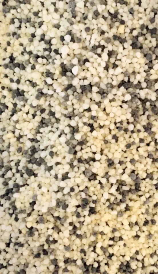 🔥10 Lbs Zip Bag BEST NITRA KING 21-2-4 ALL SEASON LAWN Professional ...