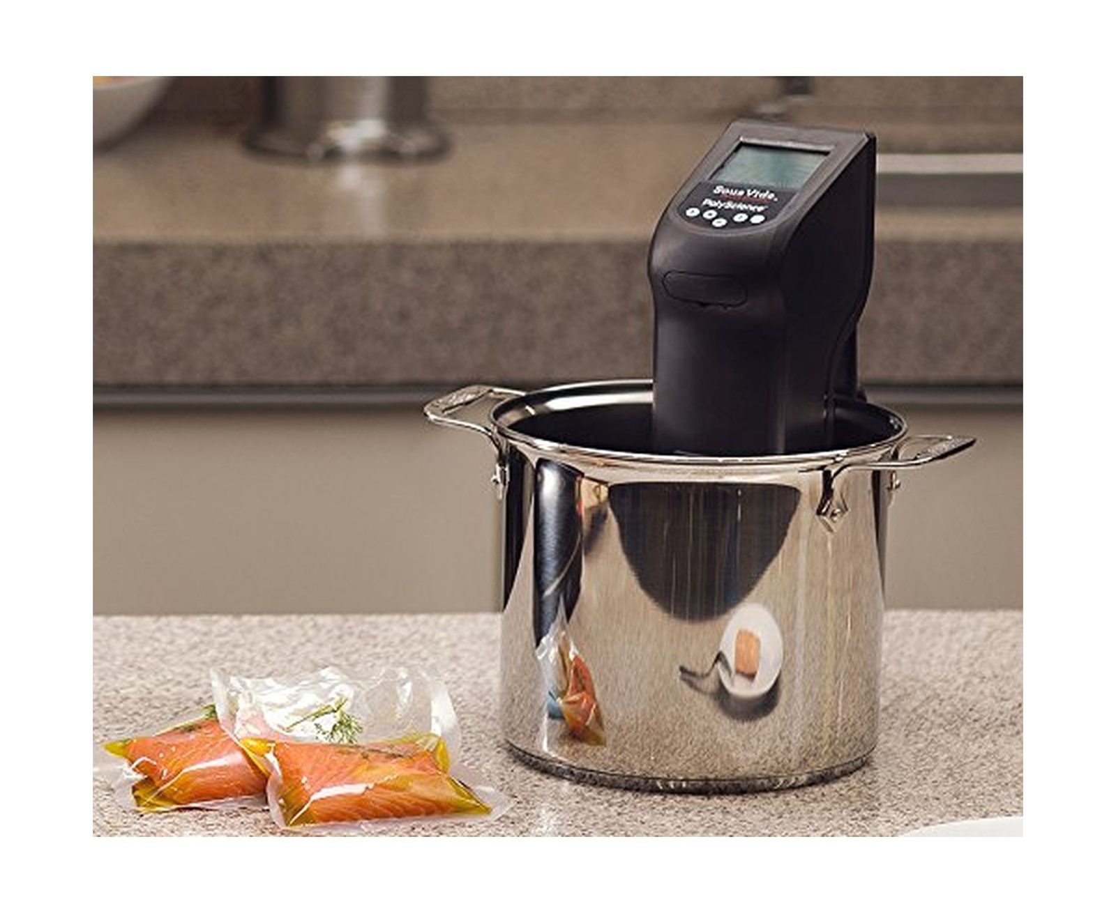 PolyScience+CRC-5AC1B+Sous+Vide+Immersion+Circulator for sale online | eBay