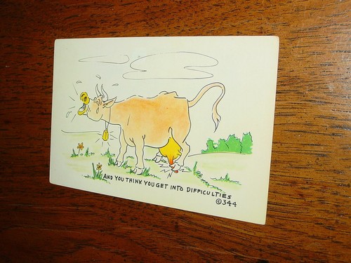Vintage Comic Postcard PC Humor Cartoon Old School Joke Funny Ouch Cow ...