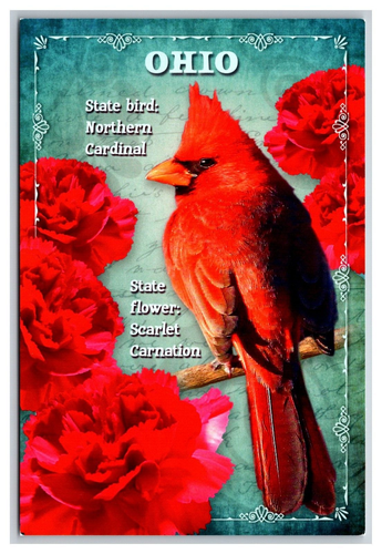 Cardinal Carnation State Bird Flower of Ohio 6x4 Continental Size UNP ...