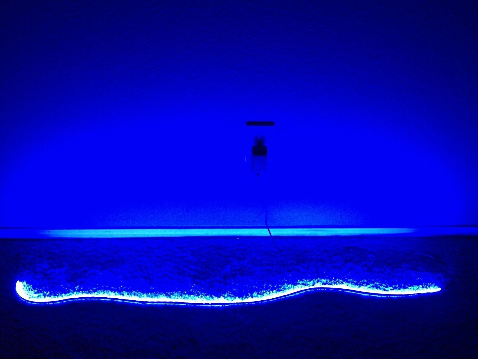 Aquarium Reef Coral LED Strip 445 nm BLUE Actinic Light 48" 4 ft | eBay