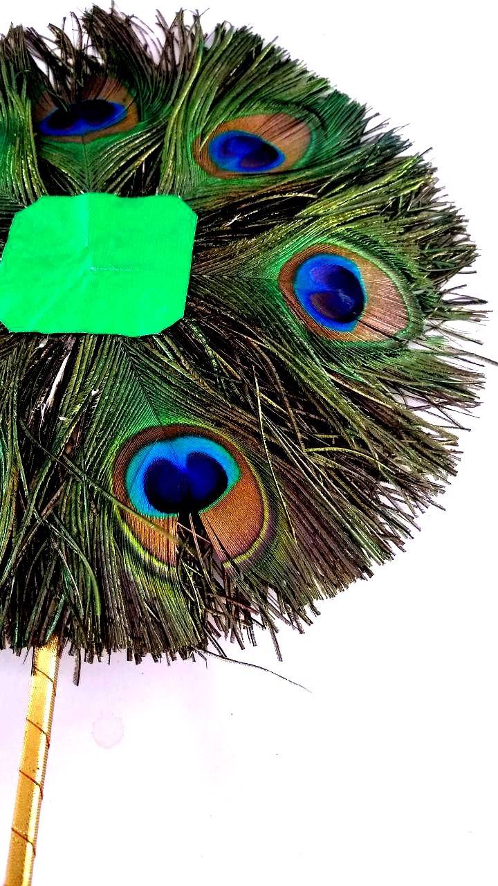 Krishna Peacock Feather Hand Fan Graha & Dristi Dosa Nasak For Good ...