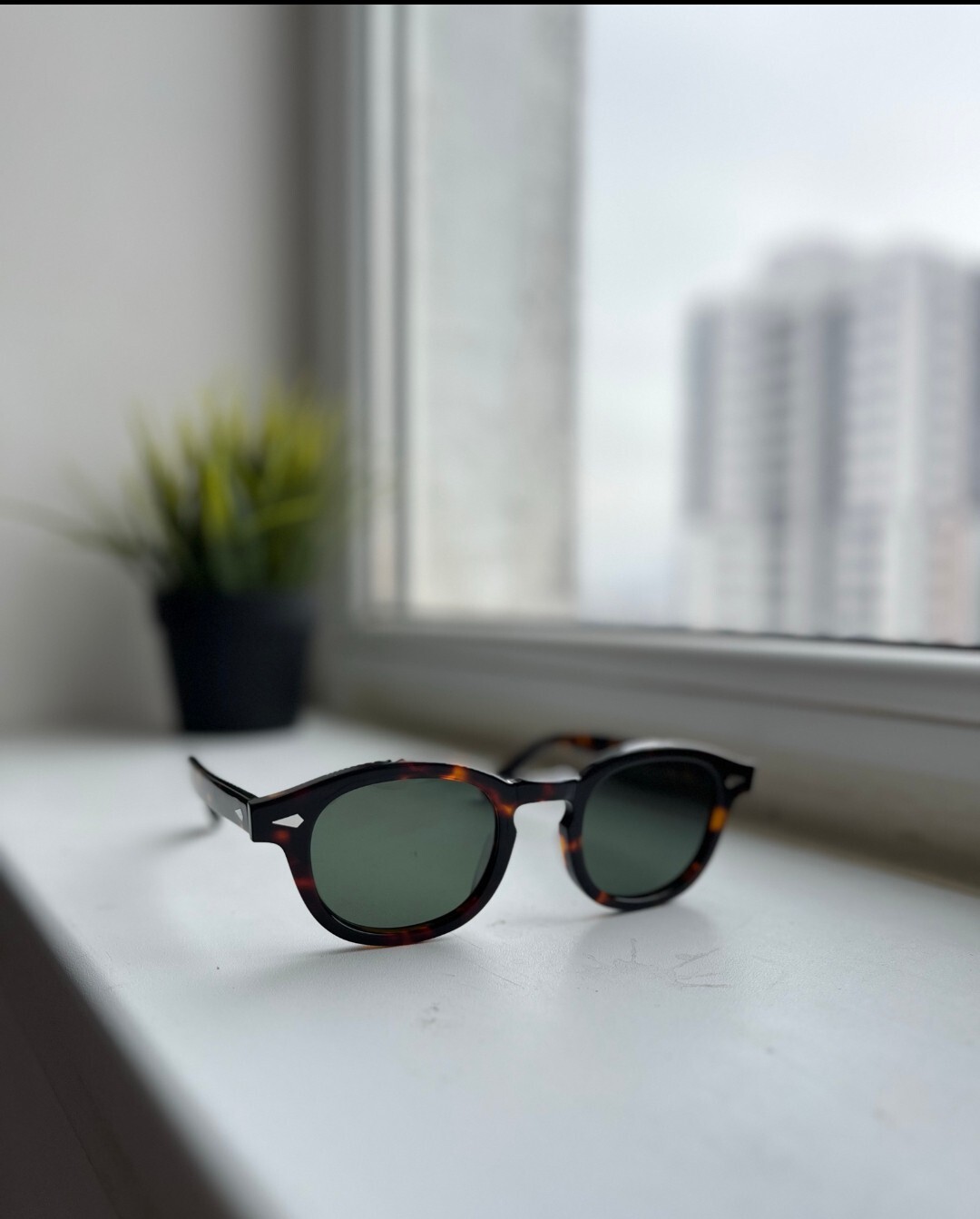 MOSCOT LEMTOSH TORTOISE Frame Green Lenses SunGlasses 49-24-145 | eBay