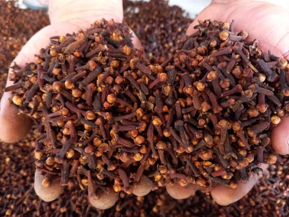 Premium Quality Dried Fresh Ceylon Organic Whole Cloves Natural Spices & Herb | eBay
