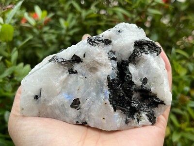 EX Large Rainbow Moonstone Raw Natural Stone,2.5-10 Inch Rough Rainbow ...