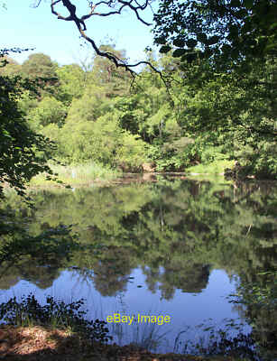 Photo 12x8 Round Pond Brick Hill A small woodland pond with the trees ...