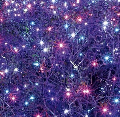 100 LED BATTERY OPERATED TIMER LIGHTS STRING FAIRY CHRISTMAS FESTIVAL ...