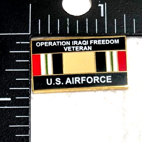 U.S. AIR FORCE VETERAN OIF CAMPAIGN RIBBON HAT or LAPEL PIN IRAQI ...