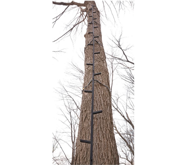 Tree Stand 25' Climbing Sticks Hunting Ladder Deer Game Sturdy Holds up ...