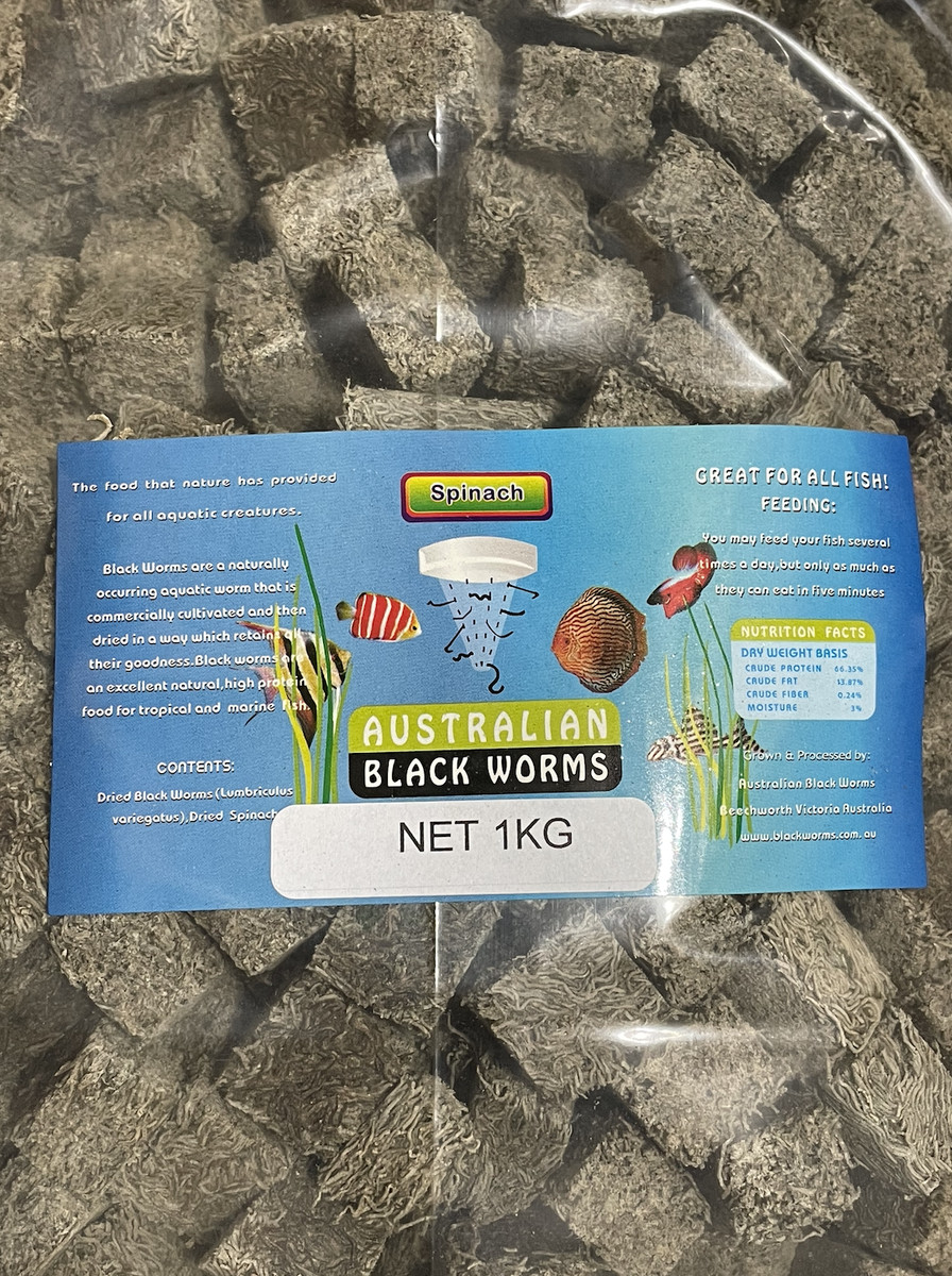 Black Worms For Fish