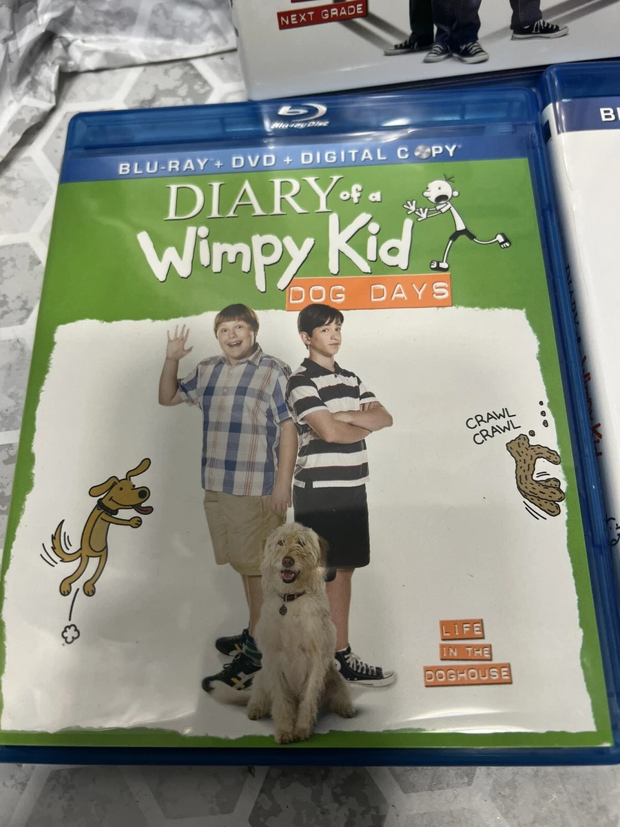 Diary Of A Wimpy Kid Dog Days Rodrick