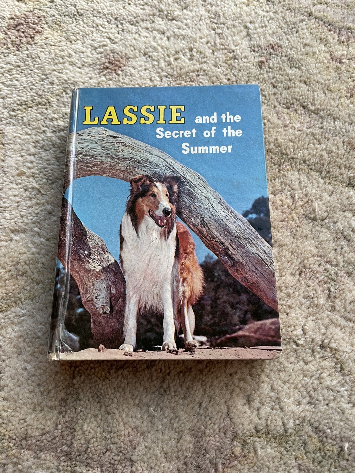 Lassie and the Secret of the Summer Whitman Publishing Glossy Cover ...