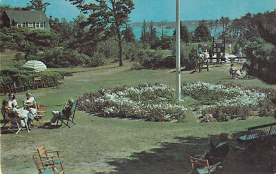 Lawn Scene, The Pines, Cotuit, Massachusetts --POSTCARD | eBay