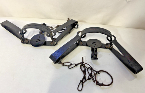 Oneida Victor #2 Double Long Spring Steel Animal Traps Lot of 2 Made in ...