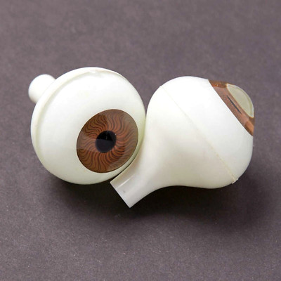 Life Size Adult Human FULL ROUND EYEBALLS w/STEM Body Parts Prop Doll ...