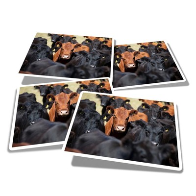 4x Vinyl Stickers Aberdeen Angus Cattle Cow Bull #50009 | eBay