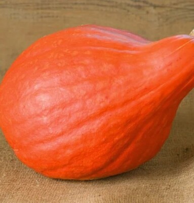 Pumpkin Red Ornamental Edible And Great To Eat Too October Easy To Grow ...