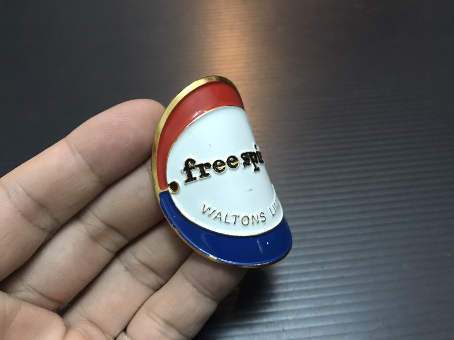 NOS Vintage Waltons Free Spirit Badge Embelm Name Plate Original old ...