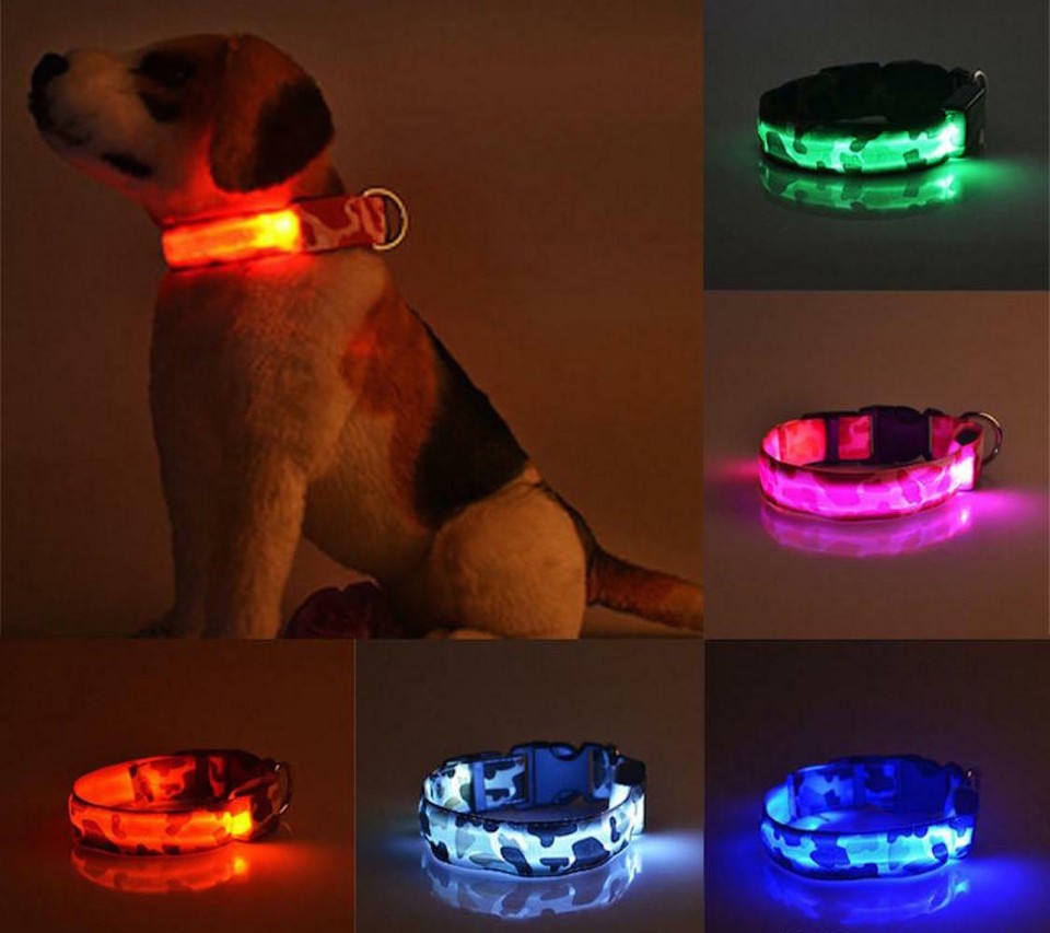 RECHARGEABLE CAMO LED PET DOG GLOW COLLAR night harness flash light ...