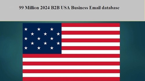 99 Million 2024 USA B2B Business Email Database Sales Leads List Marketing | eBay