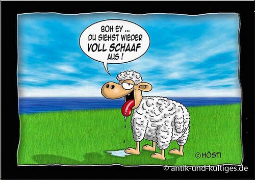 Lustige Postkarte Voll Schaaf Hösti Postkarte | eBay