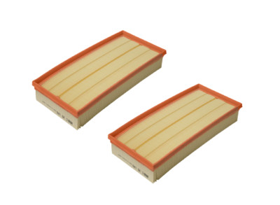 Set of 2 Air Filters L+R for LAND ROVER Range Rover Range Rover Sport ...