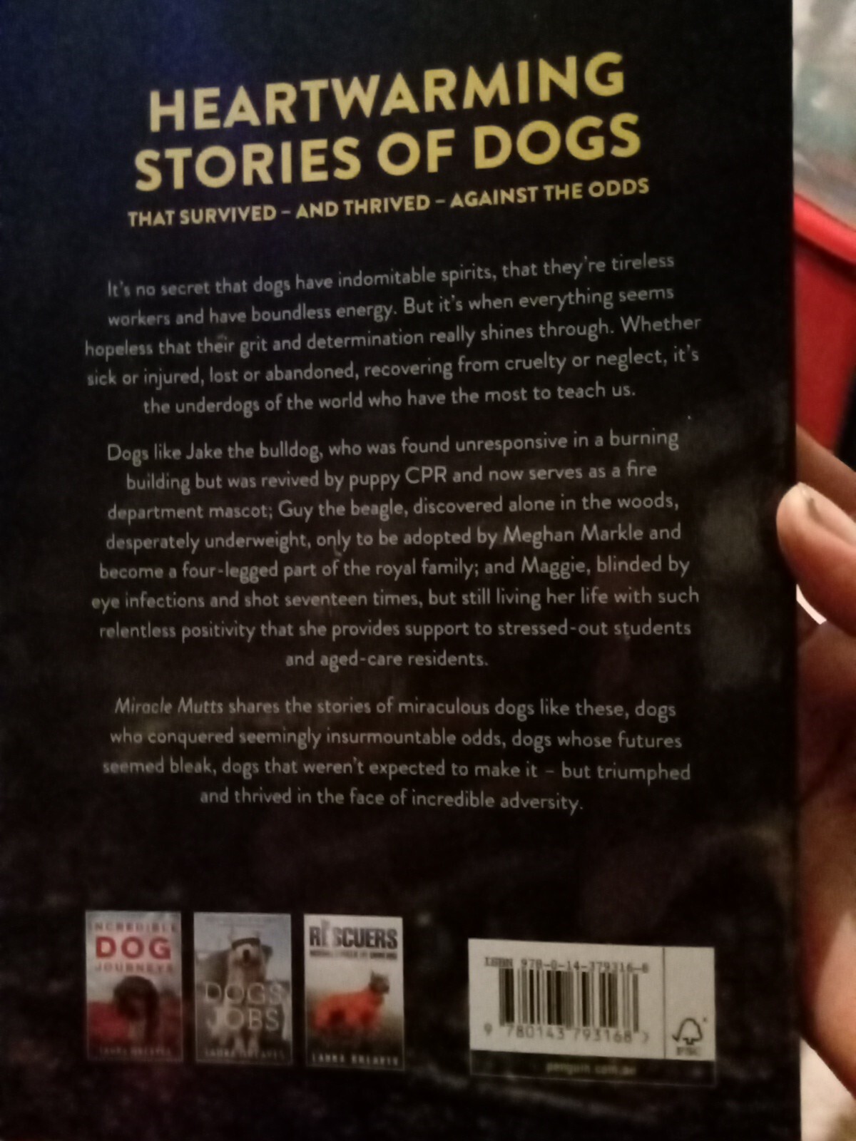 Miracle Mutts by Laura Greaves (Paperback, 2019) | eBay Australia